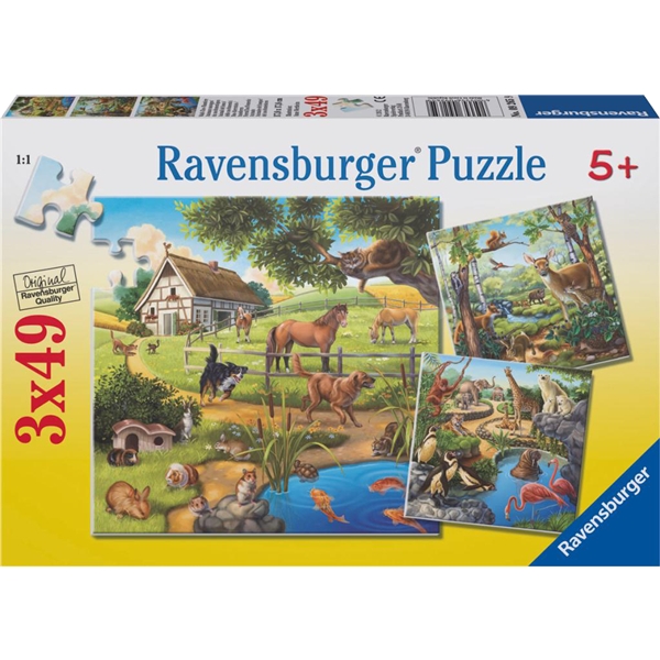 Palapelisetti - 3x49 Palaa Eläimet - Lasten palapelit - Ravensburger ...